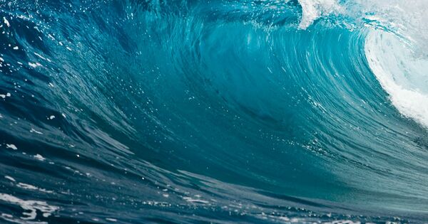 Caterpillar's Denise Johnson on riding the wave of change