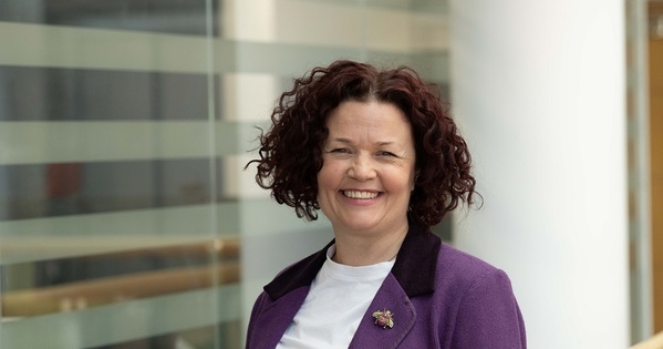 Ombudsman chief executive announced