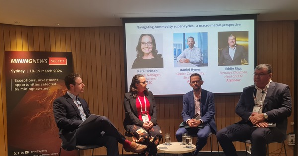 A supercycle like no other: from the MNS Sydney panel