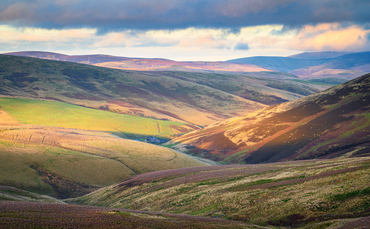 'National Estate for Nature': Defra calls on landowners to accelerate ...