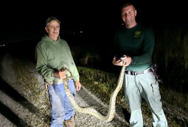 Florida teen wins prize for capturing 28 Burmese python snakes