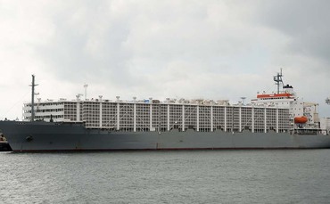 Last live export ship sails from New Zealand | Farm News | Farmers Guardian
