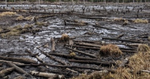 Concord Monitor - Flooding from collapsed beaver dam shuts portion of ...
