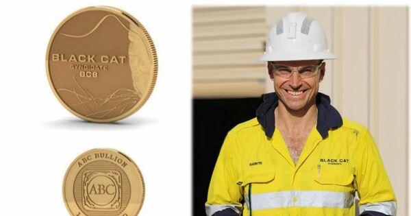Paulsens Cat Coins on offer