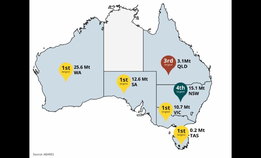 Record winter crop of 67 million tonnes harvested