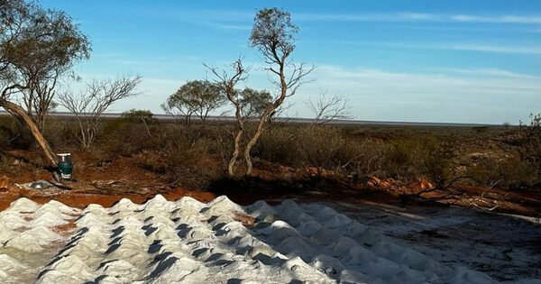 Everest to kick-start Mt Edon studies with $50,000 CSIRO voucher