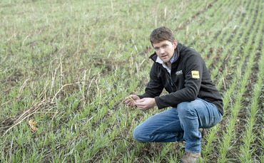 Four Scottish farms work together to create stronger future ...