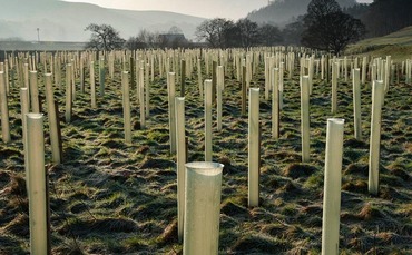 Environmental schemes 'threatened' as National Trust faces 200m losses ...