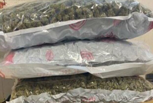 Customs seizes marijuana worth over Rs 11 crore at Mumbai airport, 1 held