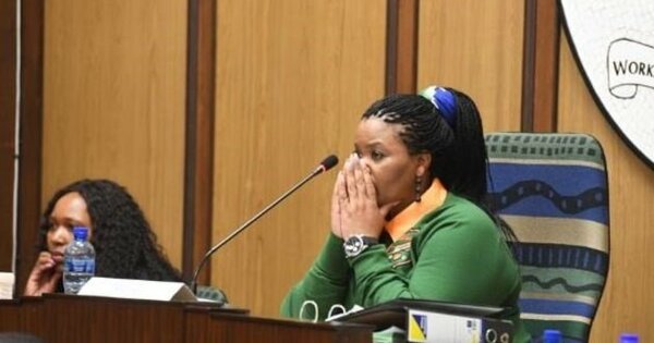 UPDATE | The DA's Nqaba Bhanga is the new mayor of Nelson Mandela Bay