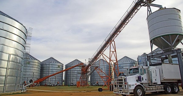 VIDEO: Smart grain storage setups