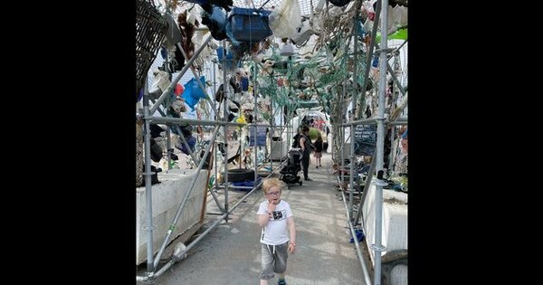 More action against plastic pollution needed, says WWF section lead