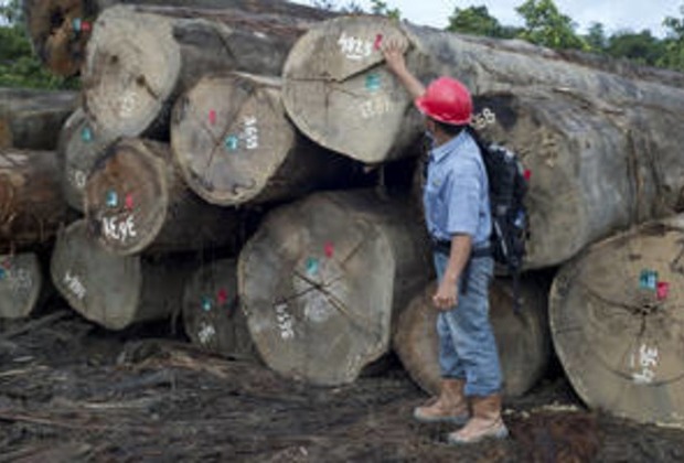 Indonesia to issue first license certifying legal timber entering Europe