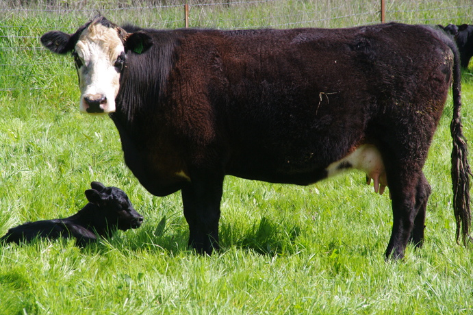 Farm News from Farming Ahead