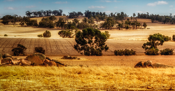 Empire Metals on way to determining "globally significant" titanium ...