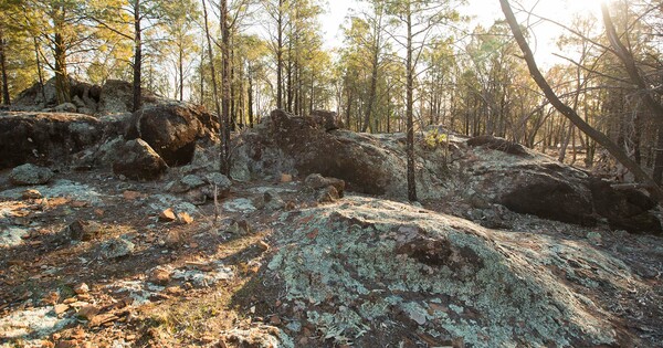 ASM advances critical Dubbo project