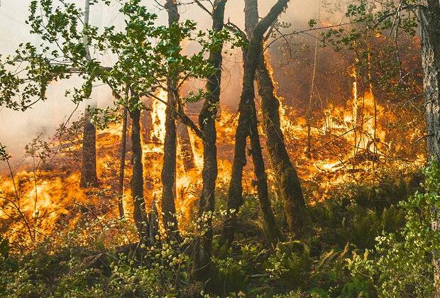Railroad work caused wildfire that burned 15 structures in Arizona