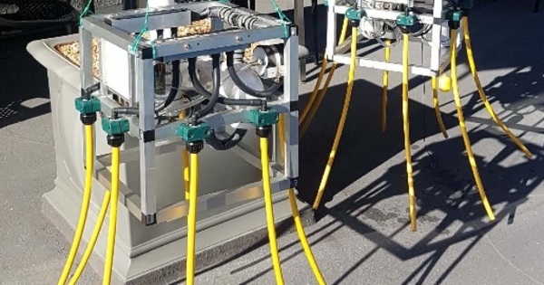 Counting the legs on Nautilus' autonomous spider