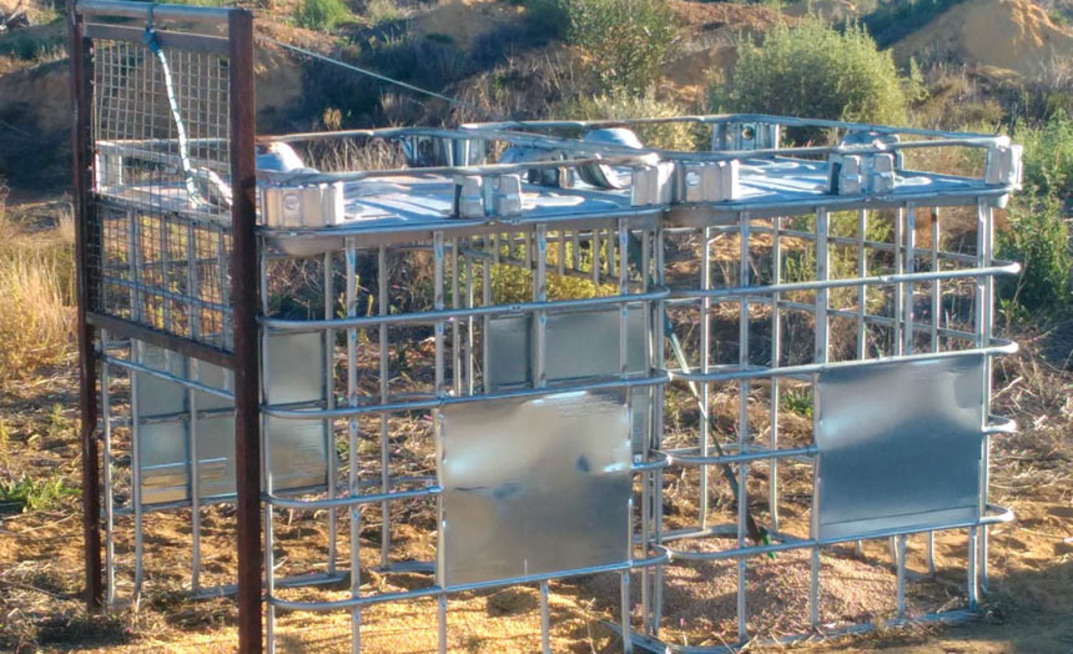 IBC challenge pulls up some good ideas