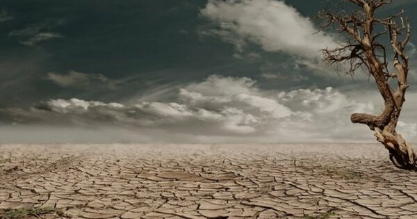 France loses up to 35 per cent of vegetable crops due to drought ...