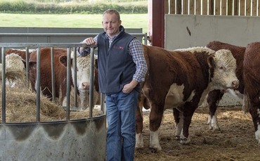 Tenant farmers fear livelihoods will be 'stripped' if council sells ...