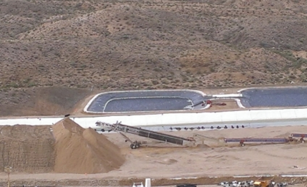 Moss growing for Northern Vertex