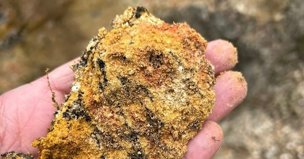 Meteoric confirms Caldeira as world's highest-grade ionic clay REE deposit