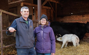 Breeding British Blue bulls for AI provides key income stream for ...