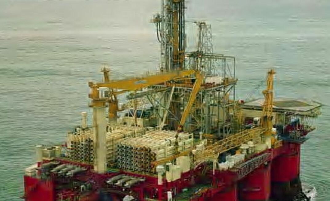 Mauritanian wildcat comes up dry