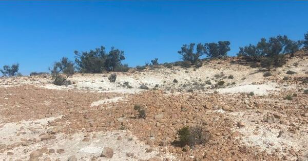 Titanium find courtesy of historical SA drill core data