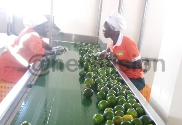 PICTURES: Museveni commissions Soroti Fruit Factory - New Vision Official