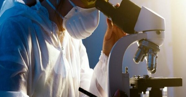 Scientists identify potential therapeutic target for gout