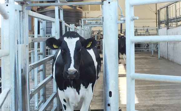 Time to rethink mobility scoring | Farm News | Farmers Guardian