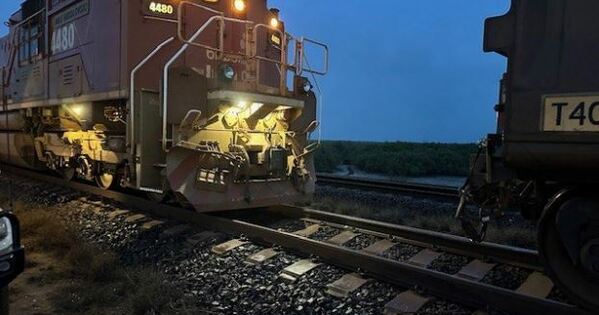 BHP Train Driver Stress: White-Tailed Spider Bites and Low-Speed Collision