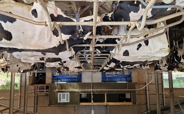 Adjusting to life with robots on fourth generation dairy farm | Farm ...