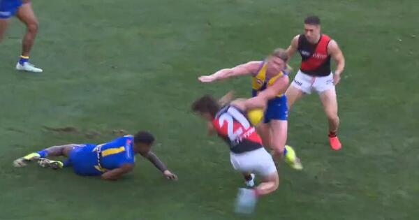AFL 2025, Essendon Bombers defeat West Coast Eagles, Round 6 - Harley ...