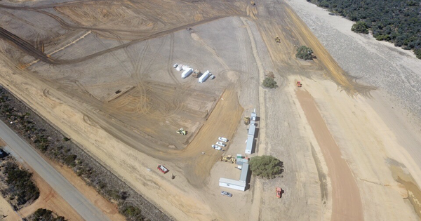 Image the early bird at Boonanarring