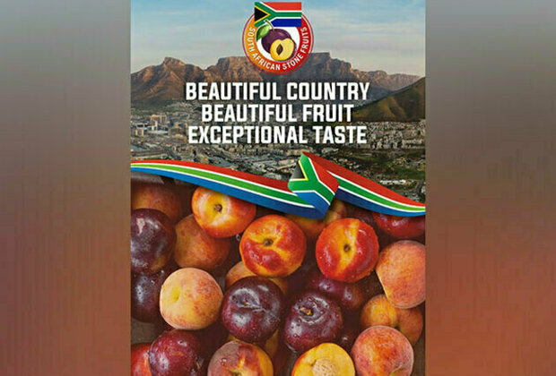 Season's First South African Stone Fruits Arrive in India - A Feast of ...