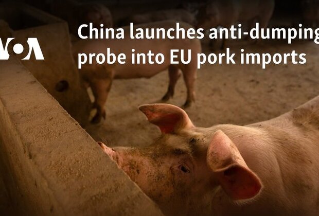 China launches anti-dumping probe into EU pork imports
