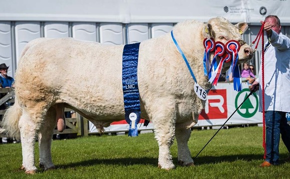 BALMORAL SHOW 2023: Charolais bull crowned champion | Farm News ...