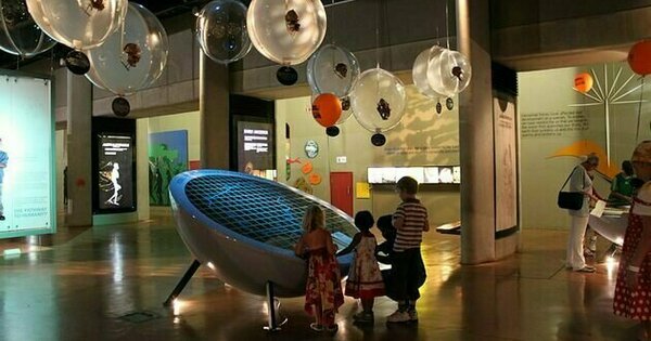 Fun with fossils: South African kids learn a whole lot more about human ...