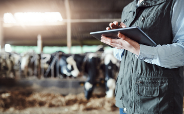 Careers special: Young farmers given tools to thrive through Tesco and ...