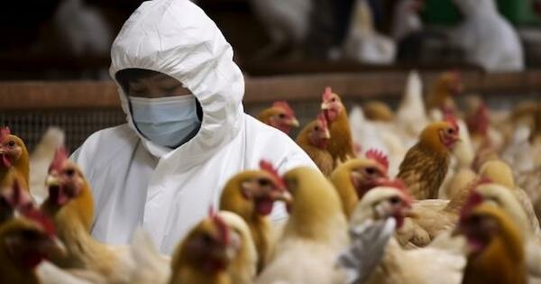 Congress pressed to help states track diseases killing wildlife