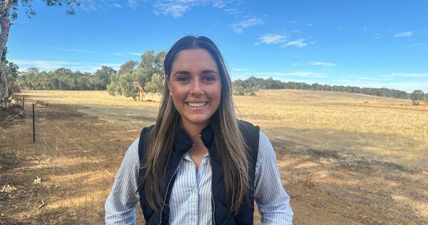 Rabo Graduate Program applications are now open