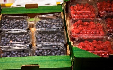 Lidl to invest £500m in British berries after increases in volumes ...