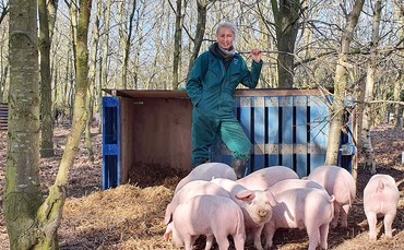 New genomic study success in fight to save rare Lop pig breed | Farm ...