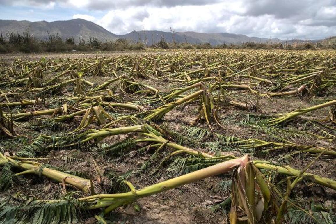 Georgia still faces devastation two months after Hurricane Helene hit