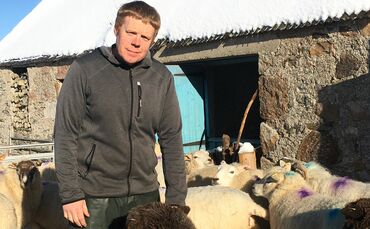 Sheep farming MSP to lead debate on 'cruel' family farm tax | Farm News ...