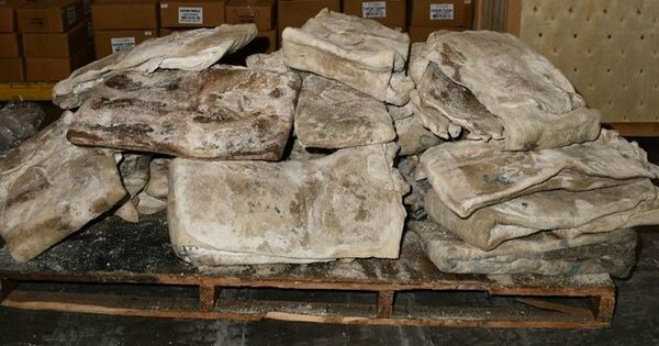 Man jailed for 22 years after meth found in raw cow hides from Mexico