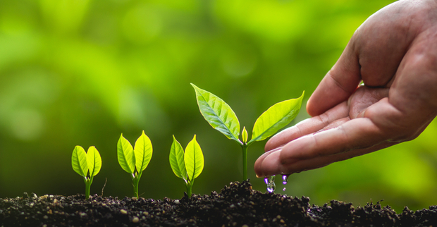 Grow your own talent | IDG Connect